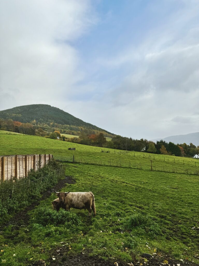 A Wee Road Trip: 6 Days in Scotland