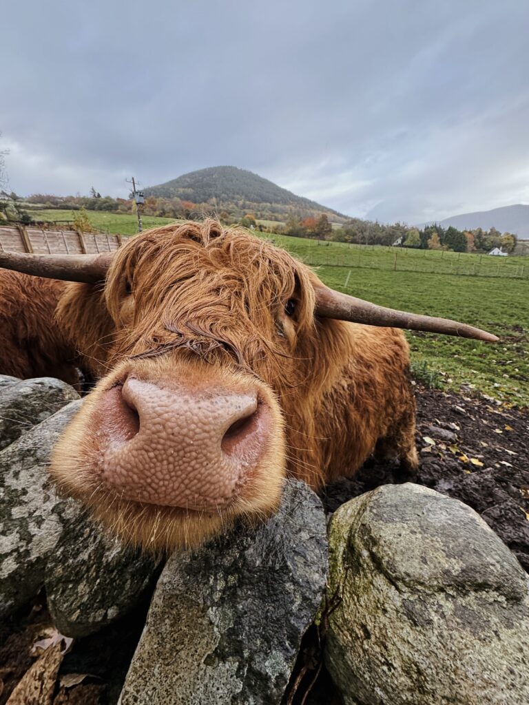 A Wee Road Trip: 6 Days in Scotland